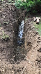 Are Tree Roots Damaging My Water Line? | Kulk’s Plumbing & Heating Inc ...